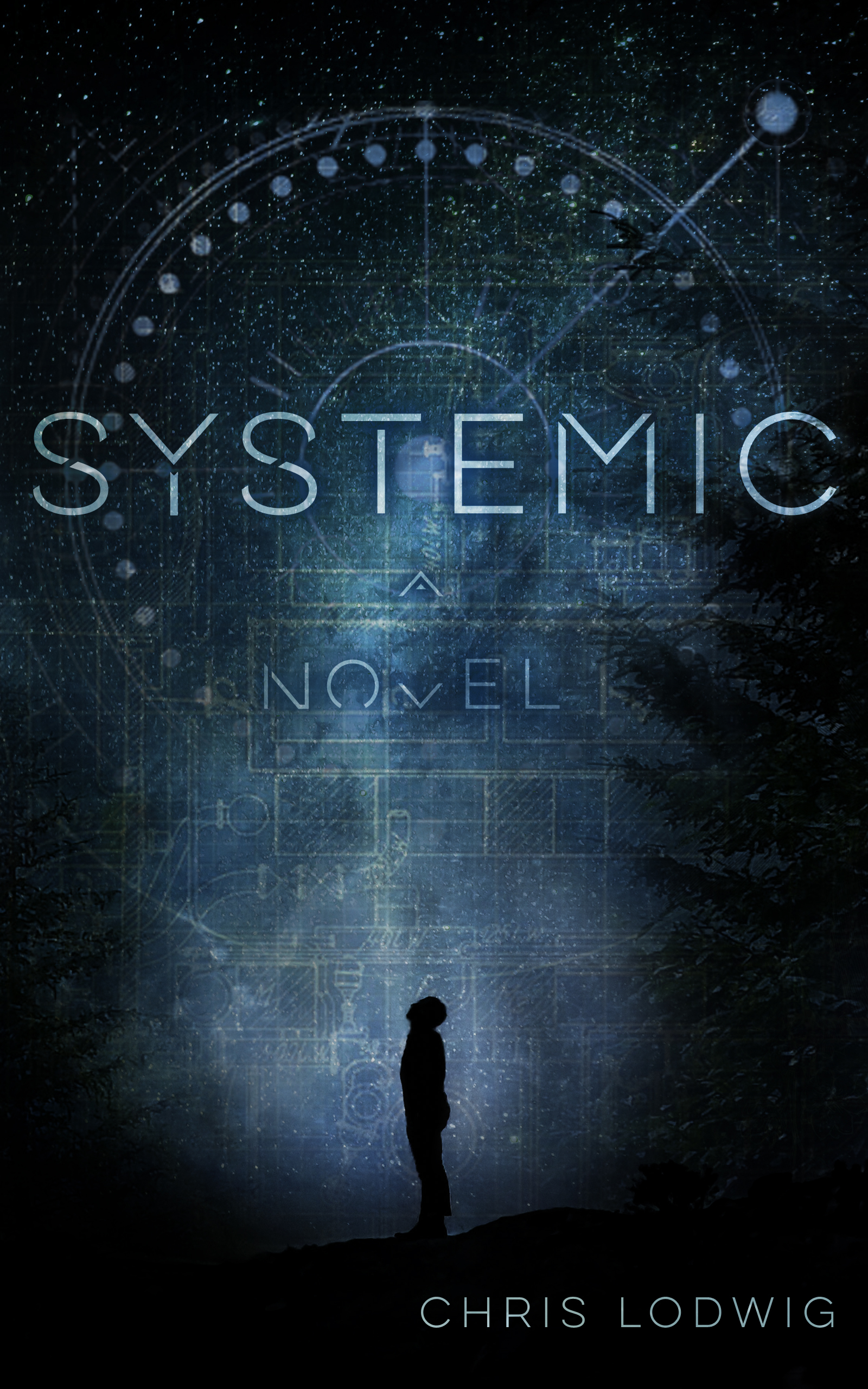 Inside the World of Systemic, an Interview with Chris Lodwig – Phoebe ...